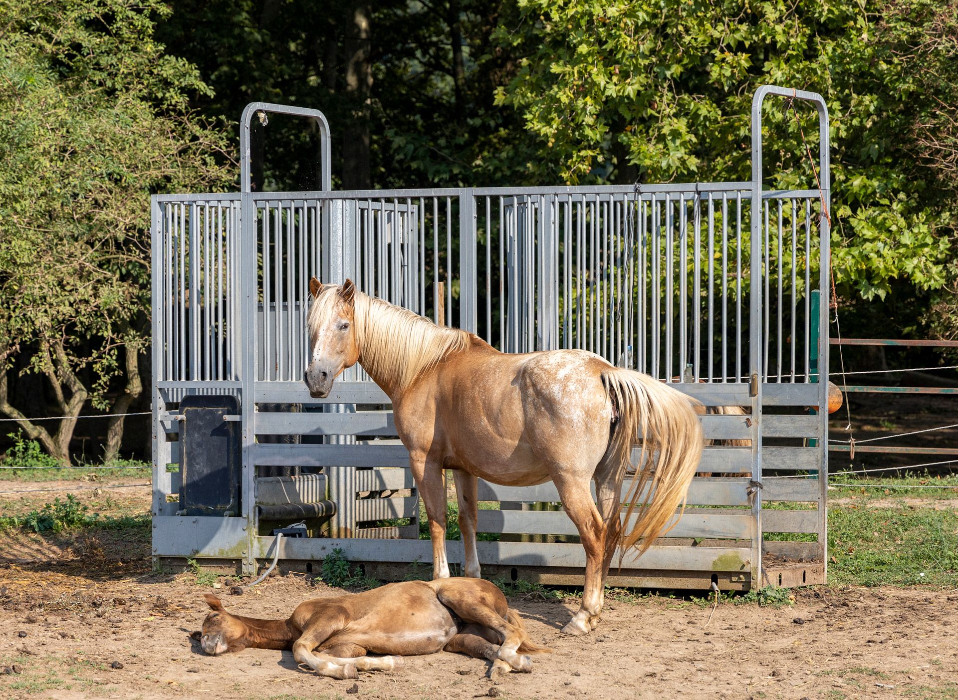 Quality Steel Products | Sandy Creek, QLD | SEQ Rural