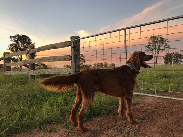 Quality Steel Products | Sandy Creek, QLD | SEQ Rural