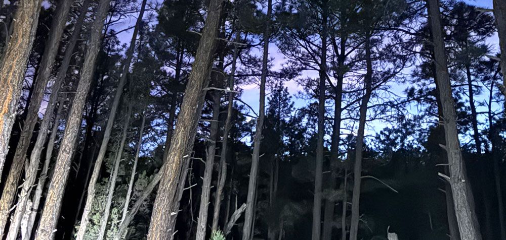 Staying Cool in the Cold