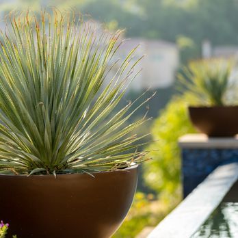 Landmark Custom Landscape and Pools | Orange County, CA