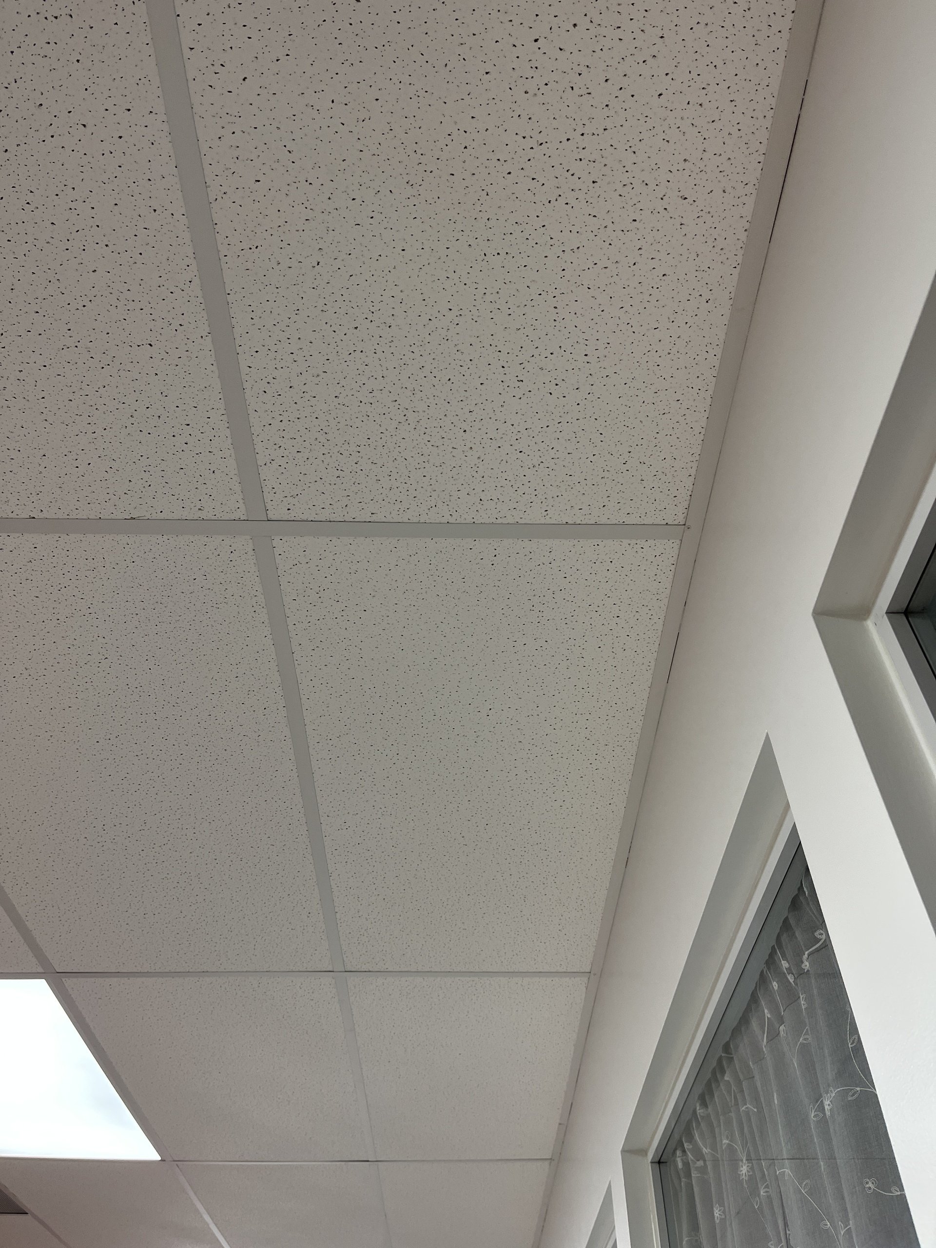 Professional Acoustical Ceiling Installers around Tampa