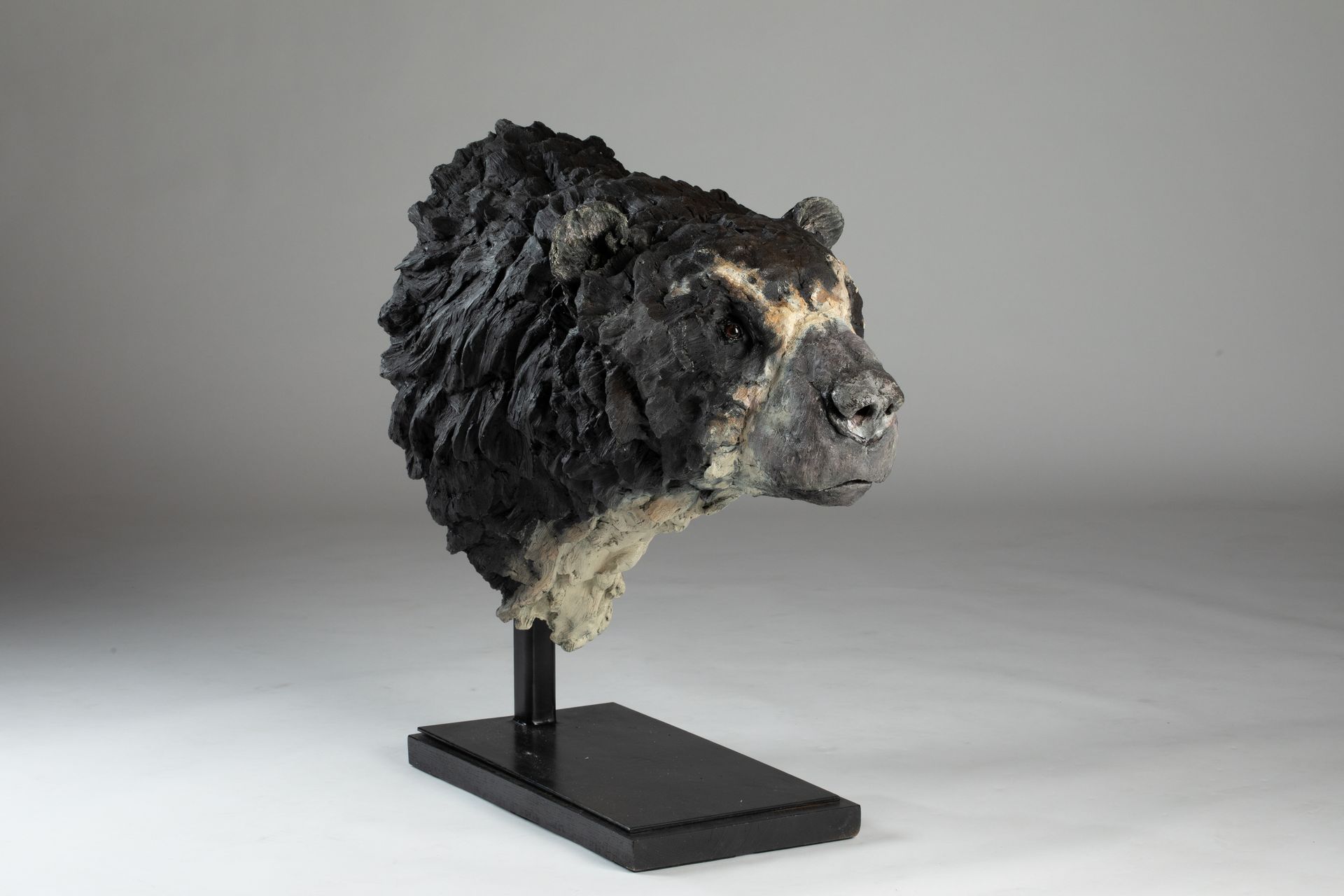 Arctodus simus, Giant North American Short Faced Bear | Bronze ...