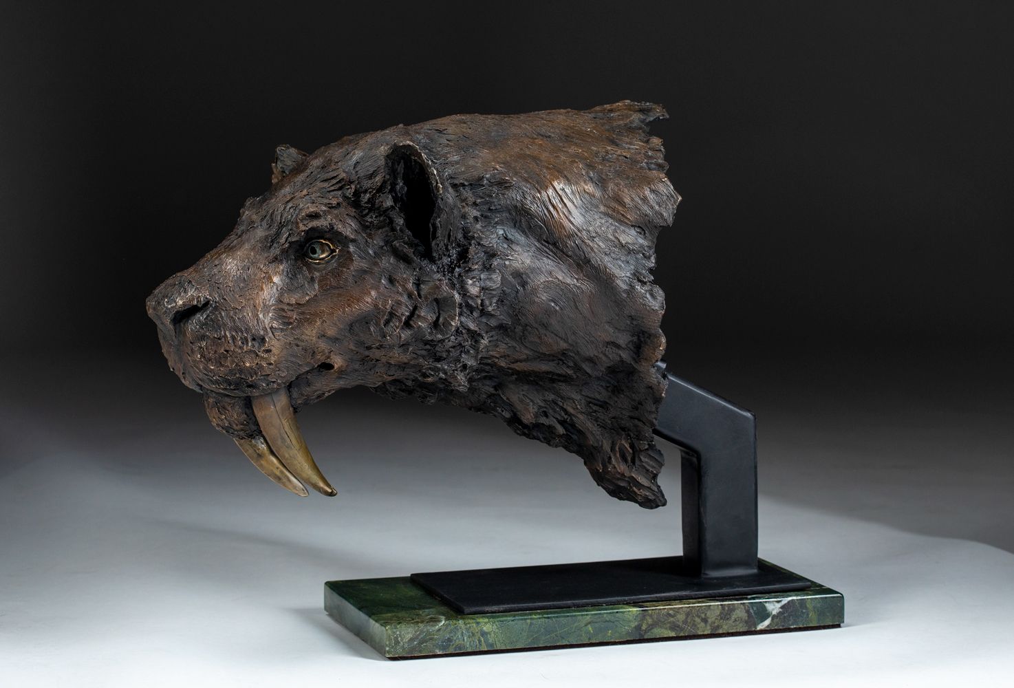 Smilodon fatalis Sabertooth Tiger Sculpture in Bronze
