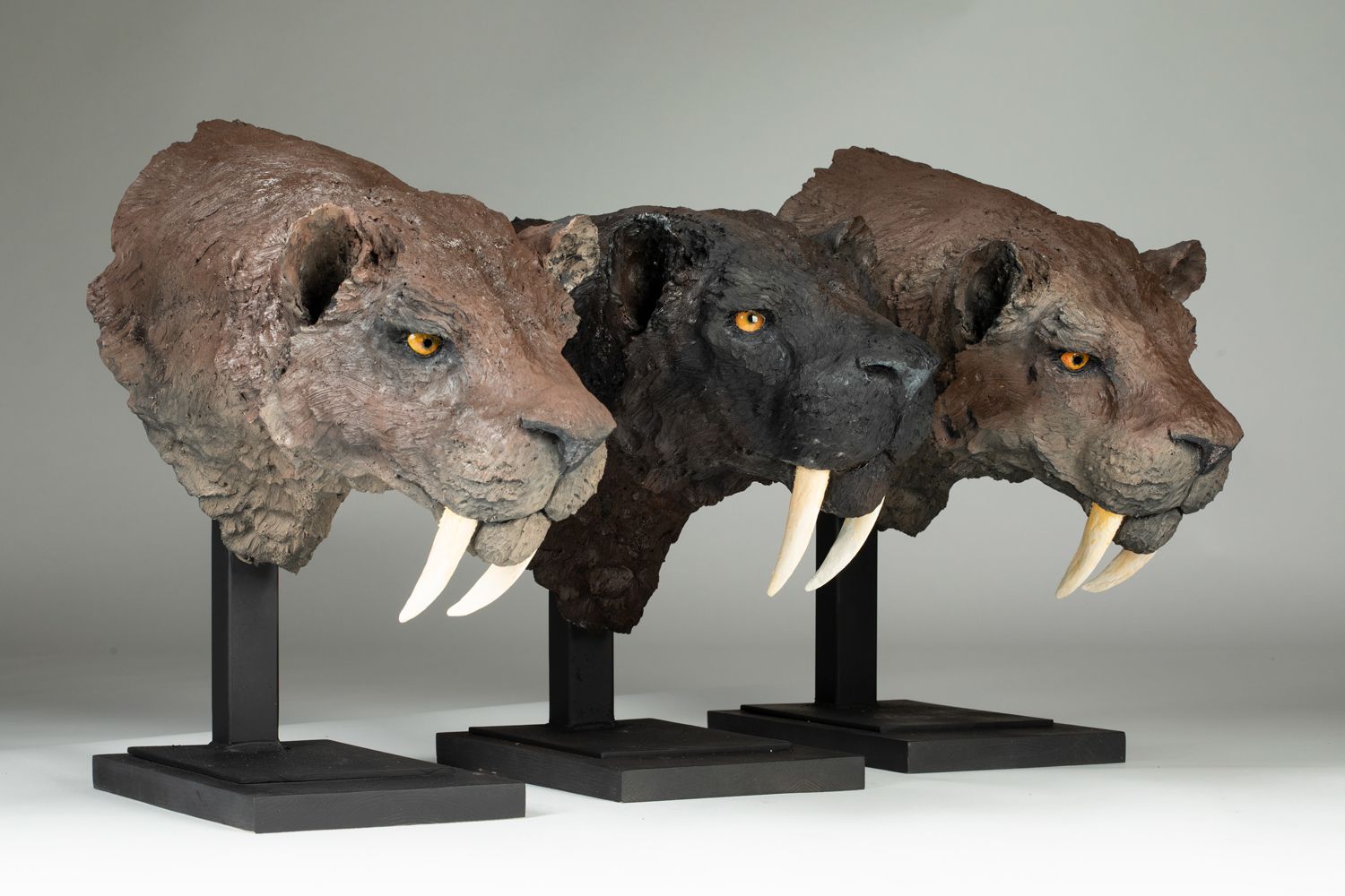 Smilodon fatalis Sabertooth Tiger Sculpture in Bronze