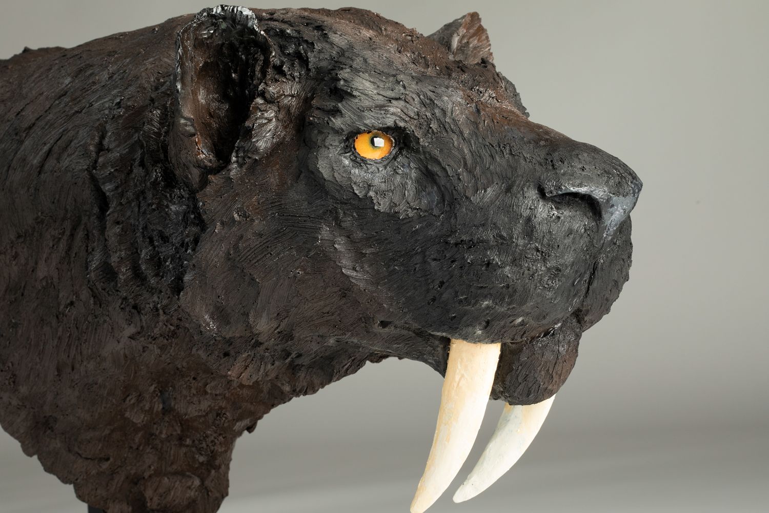 Smilodon fatalis Sabertooth Tiger Sculpture in Bronze