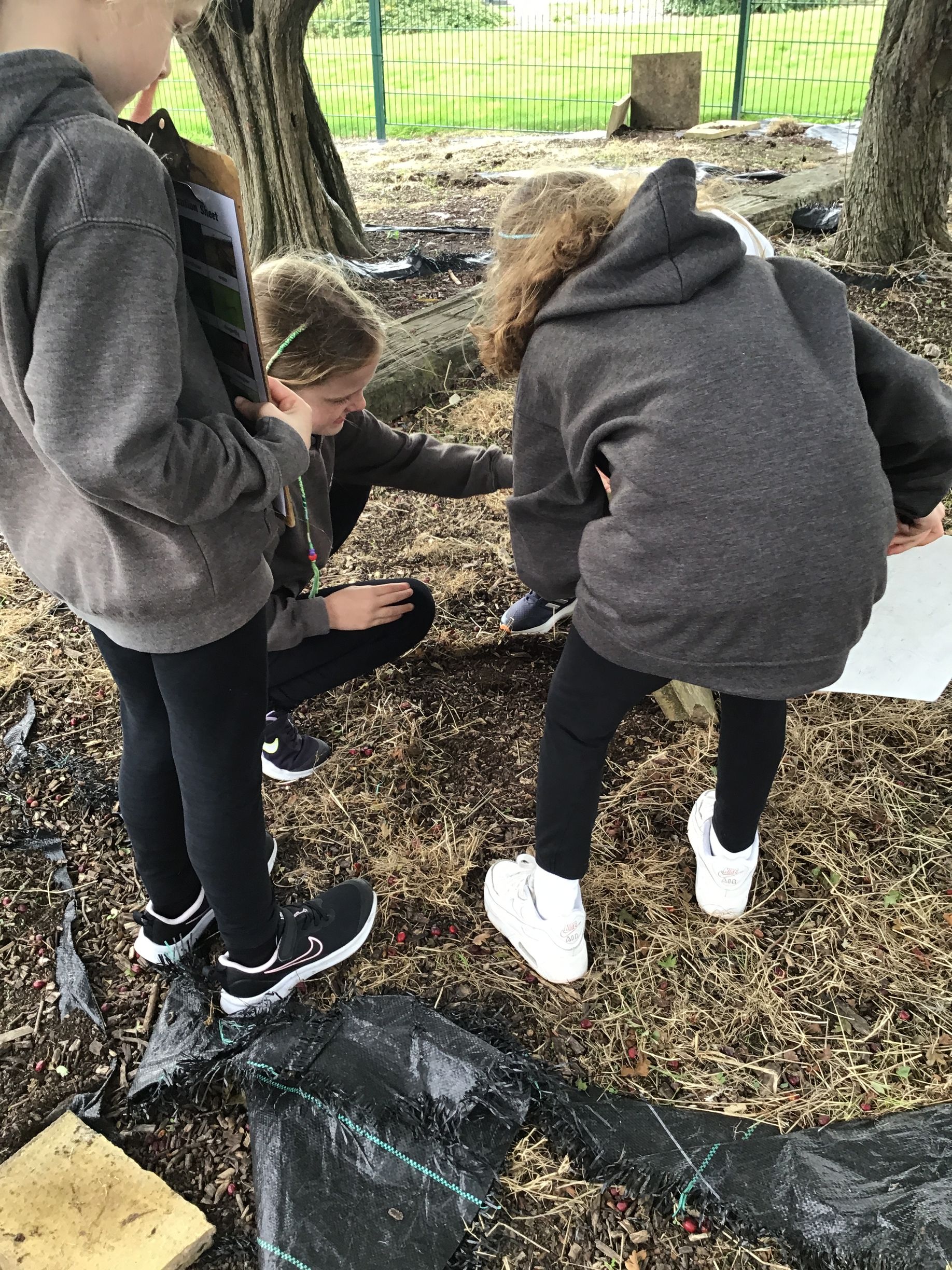 Class 3 Minibeast Mansion