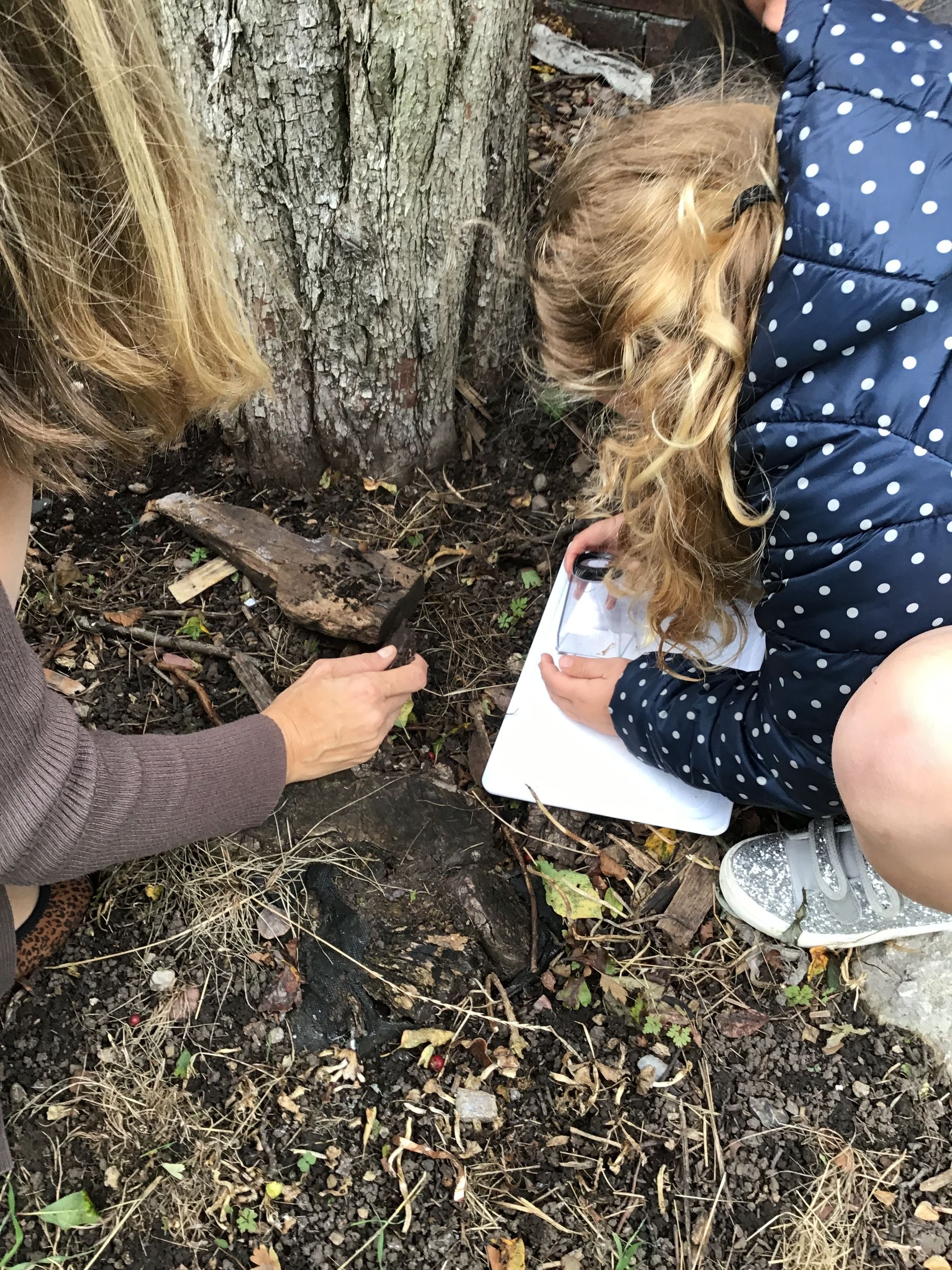 Class 3 Minibeast Mansion