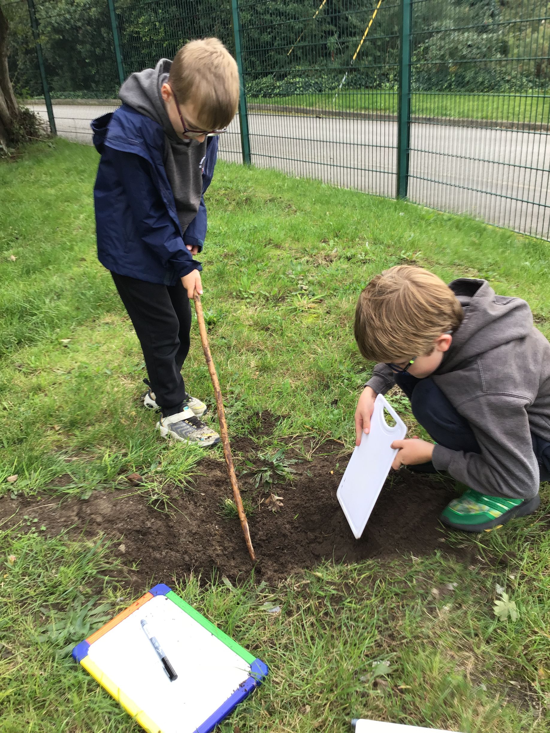 Class 3 Minibeast Mansion