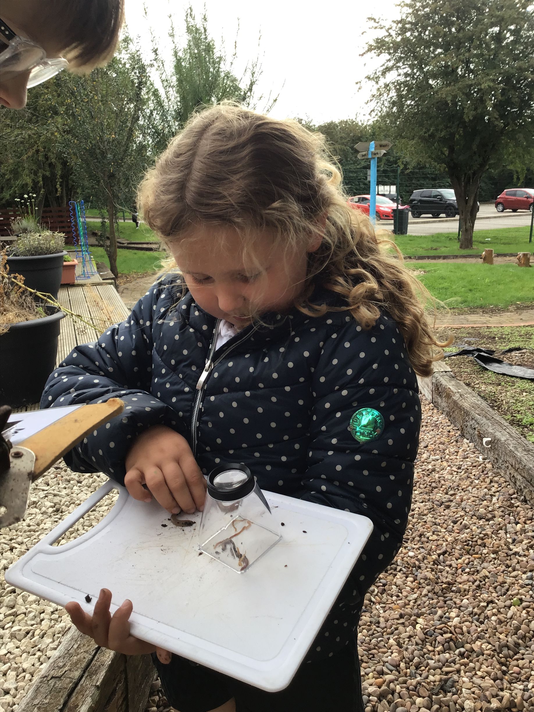 Class 3 Minibeast Mansion