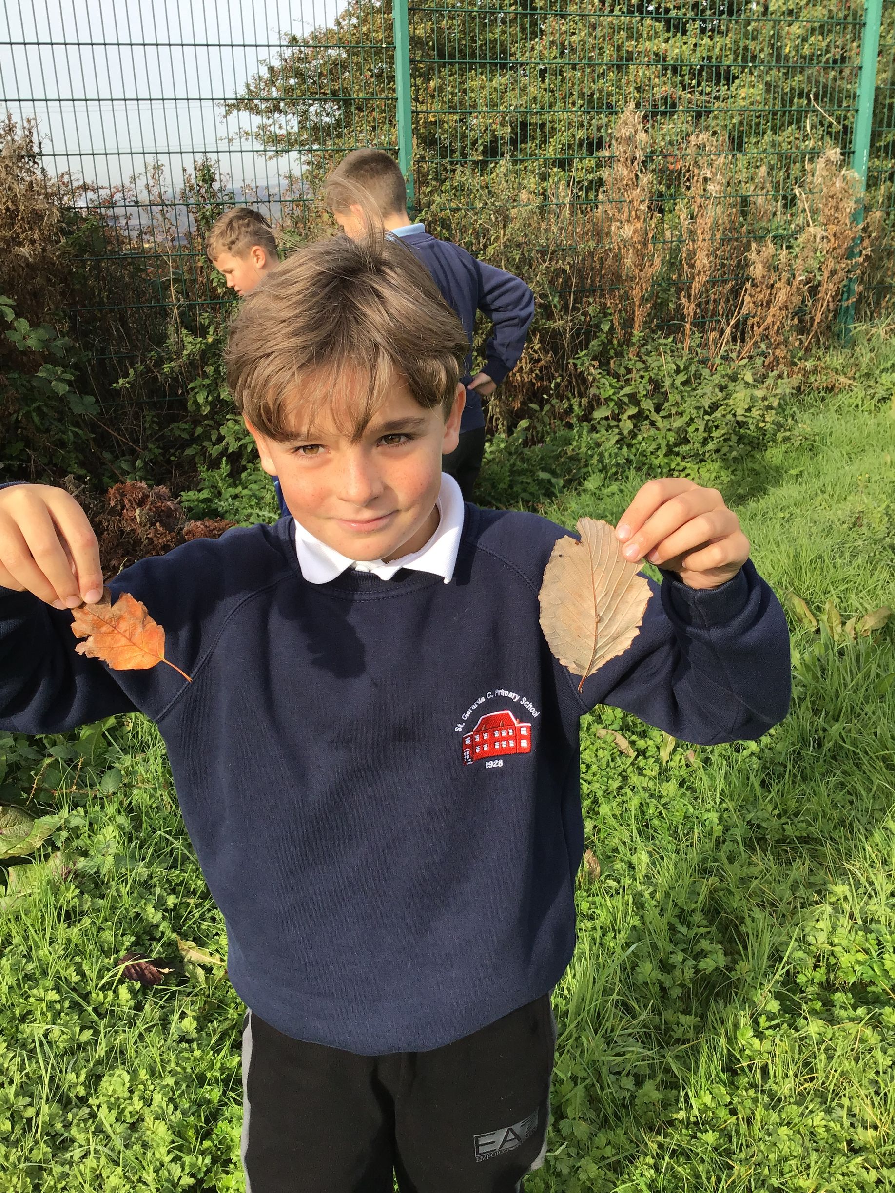 Forest School Day