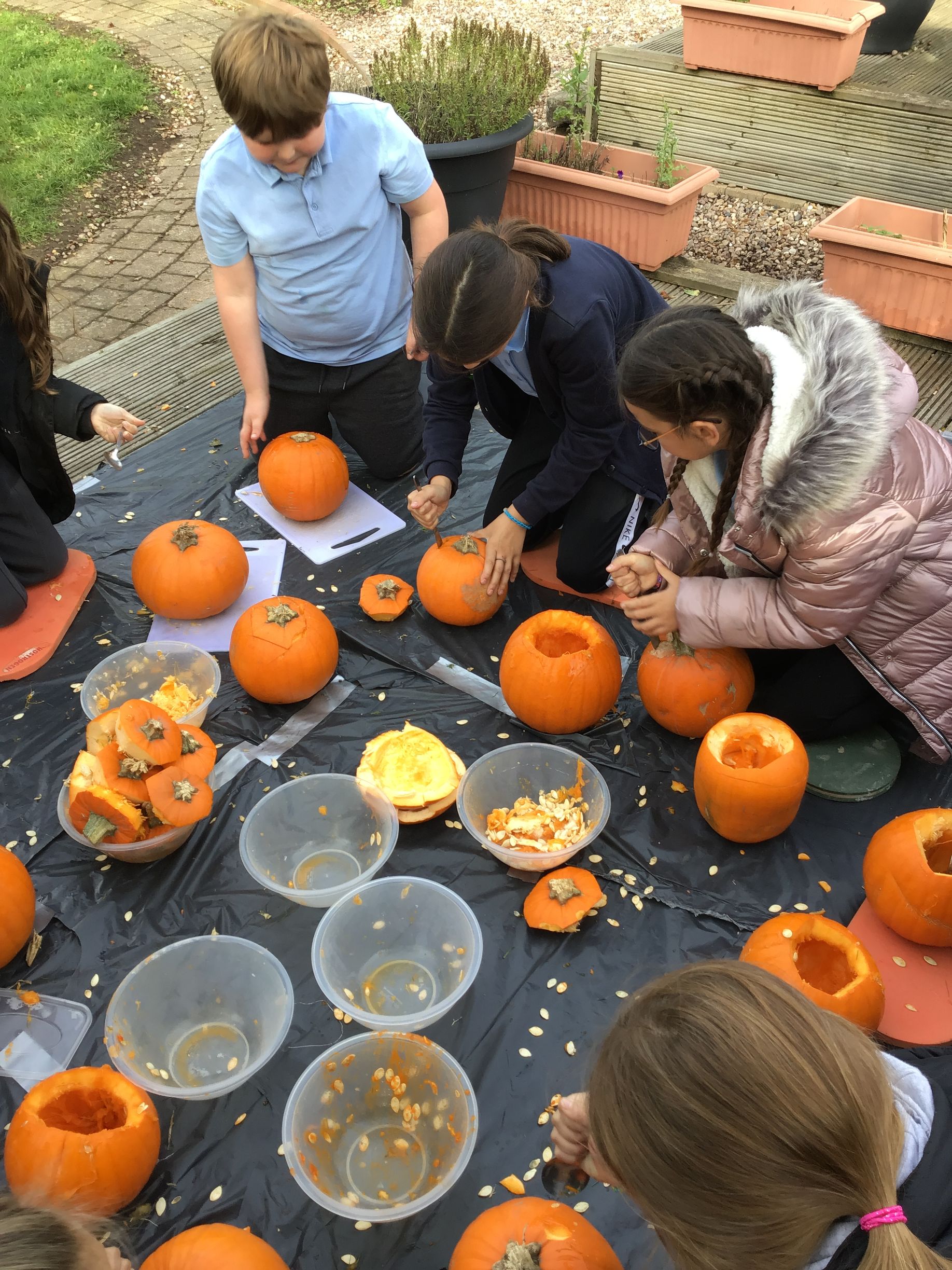 Forest School Day