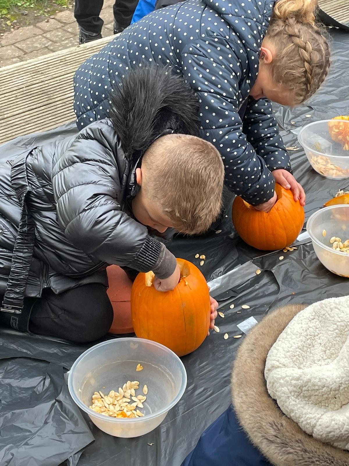 Forest School Day