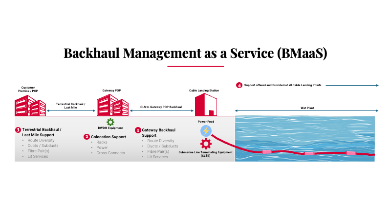 The Critical Role of Backhaul Management in Submarine Network Topology ...