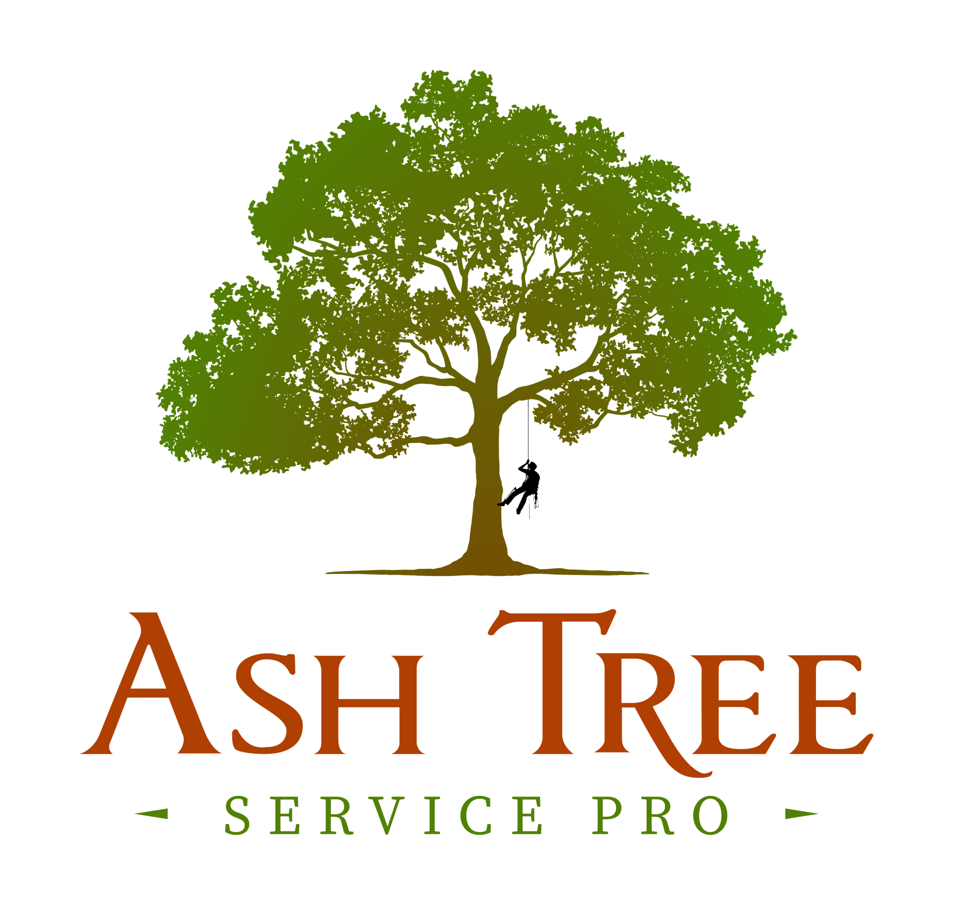 Tree Services | Middletown, OH | Ash Tree Service Pro