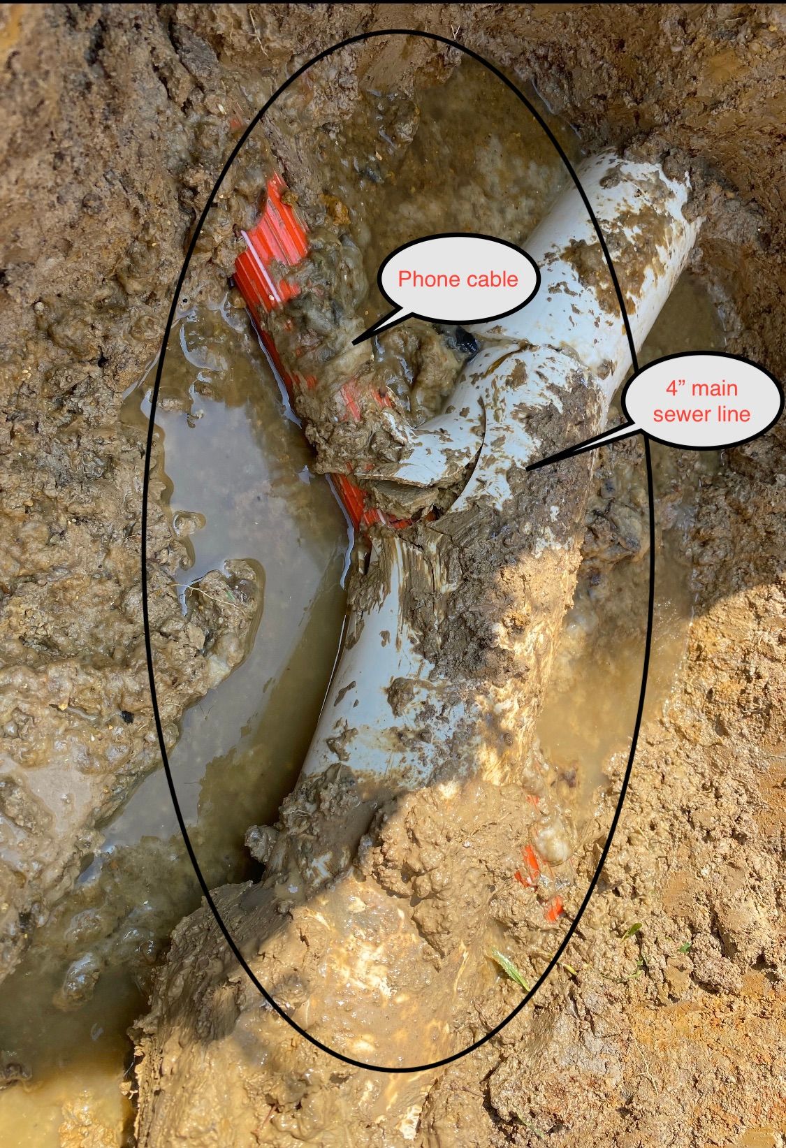 There's your problem! American Plumbing, LMP #556