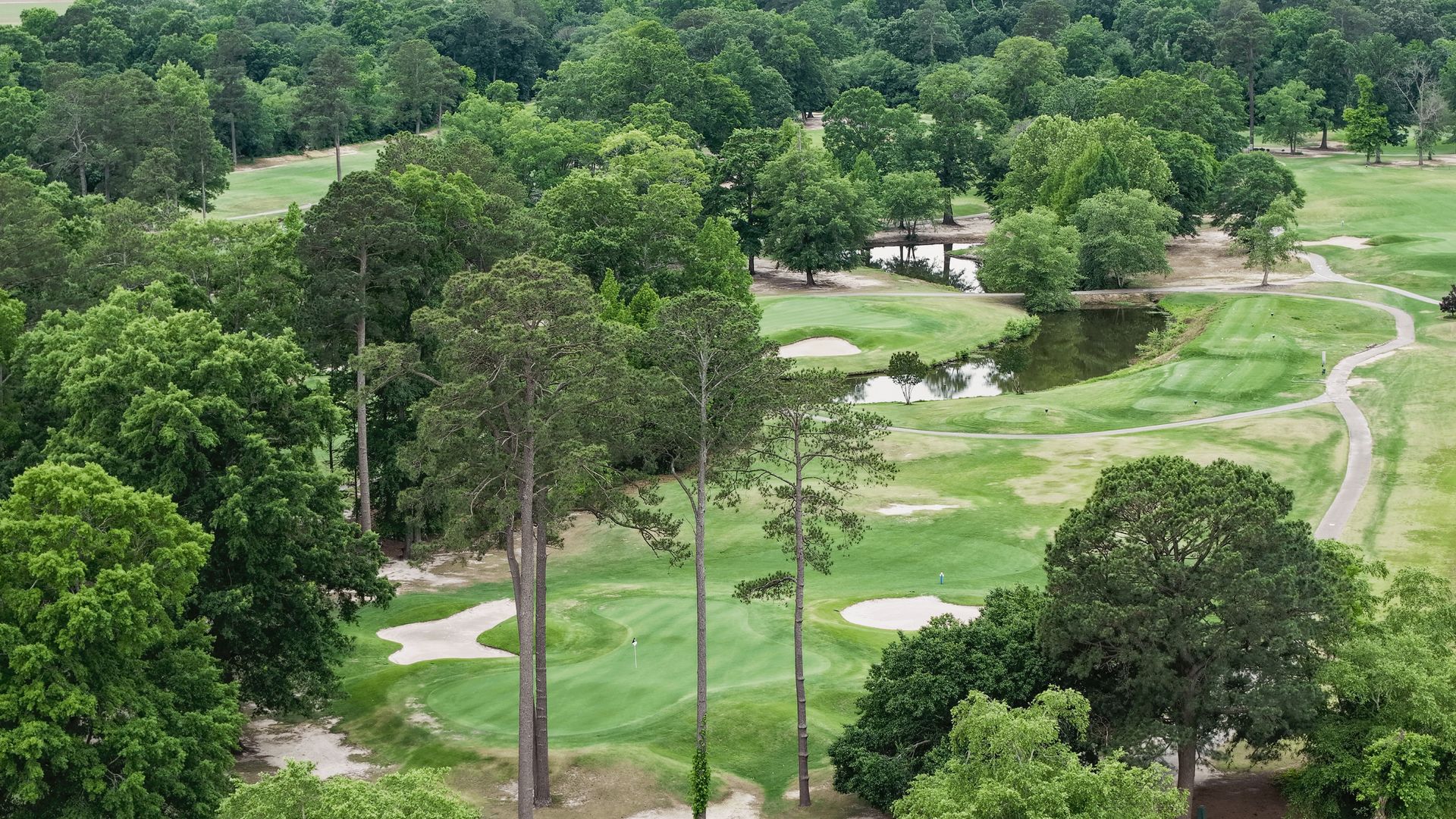 Golf Course | Goldsboro, NC | Lane Tree Golf