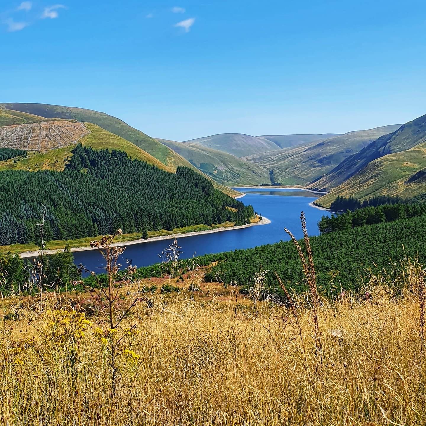 A three-day walking festival for all abilities | Walk Moffat
