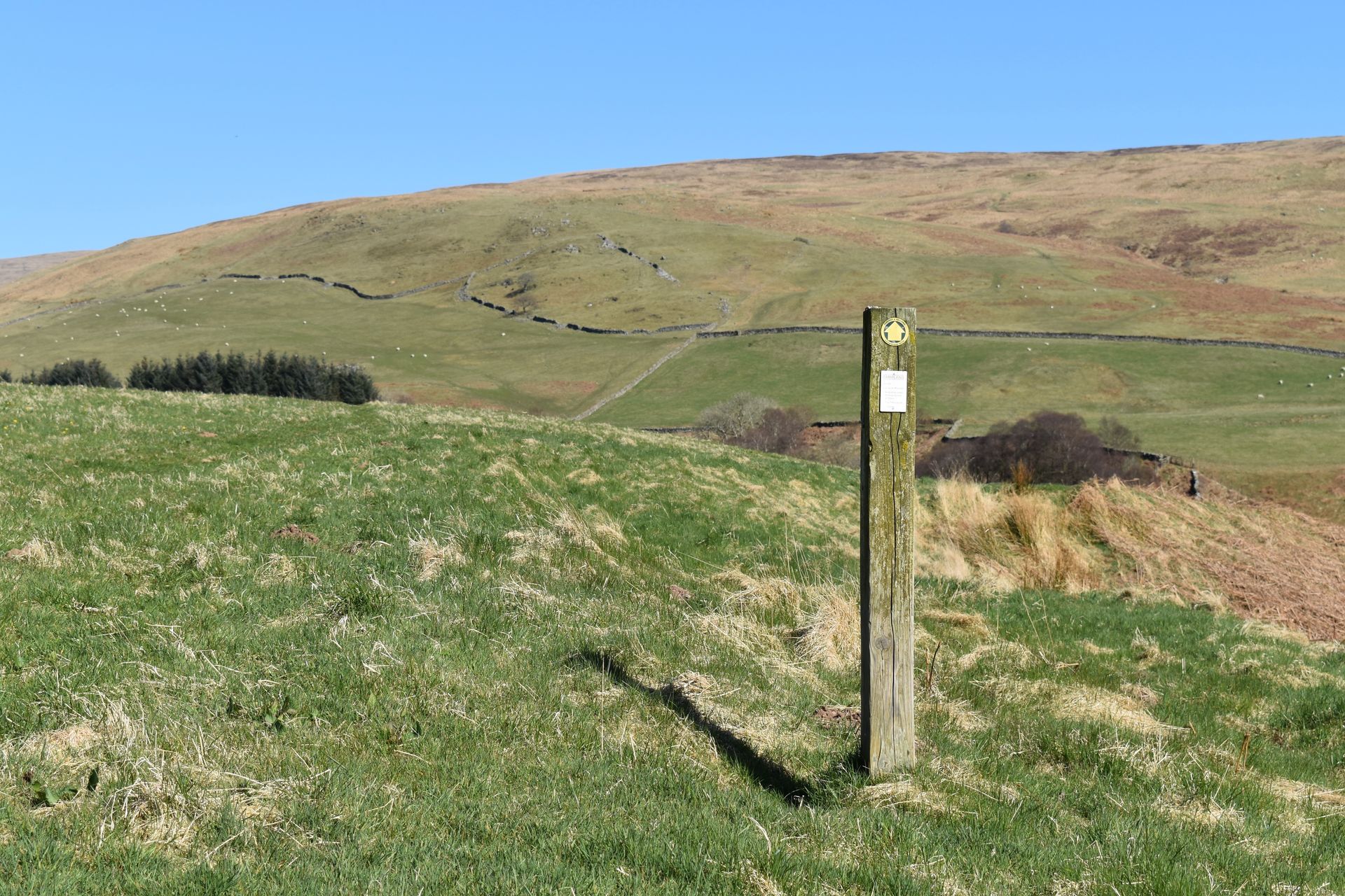 Our Walking Gallery | Walk Moffat