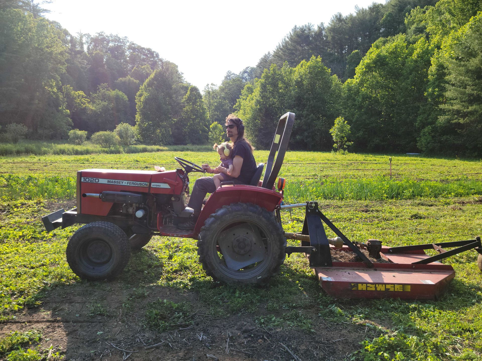 Tree Service Boone NC | Sustainable Land Management
