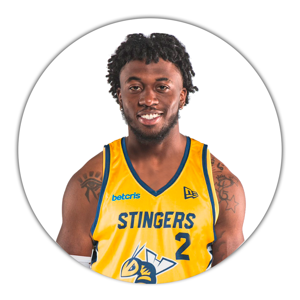 Edmonton Stingers Professional Basketball