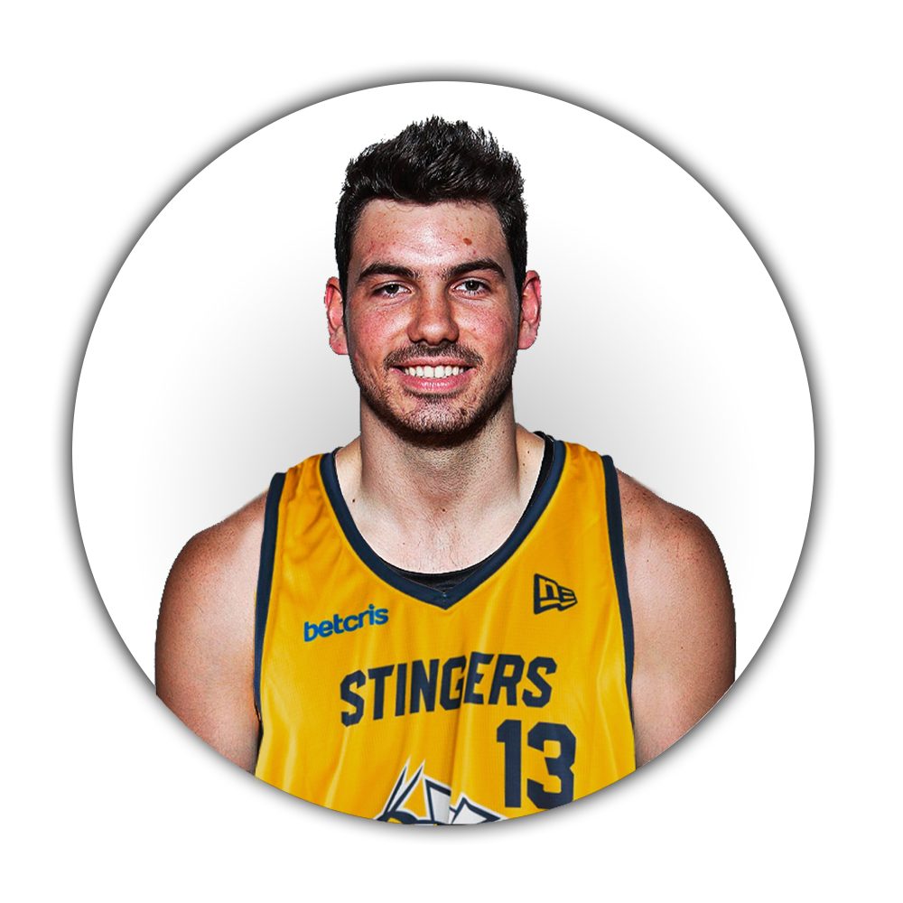 Edmonton Stingers Professional Basketball