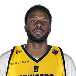 Edmonton Stingers Professional Basketball