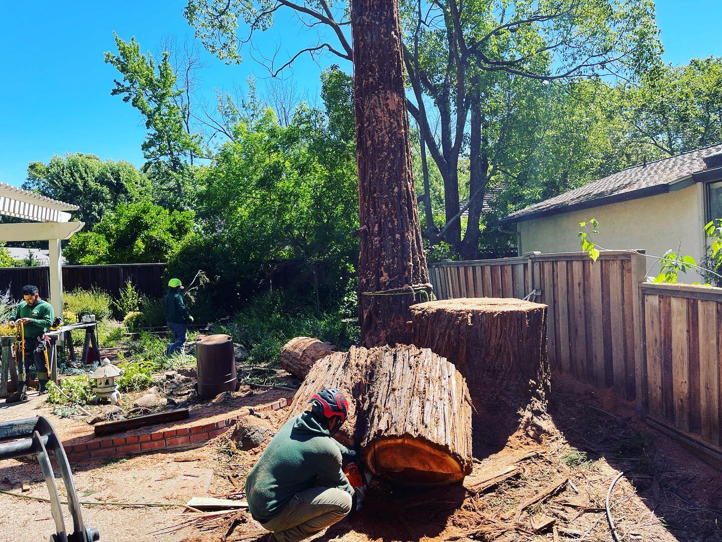 New Life Tree Service | Pittsburg, CA