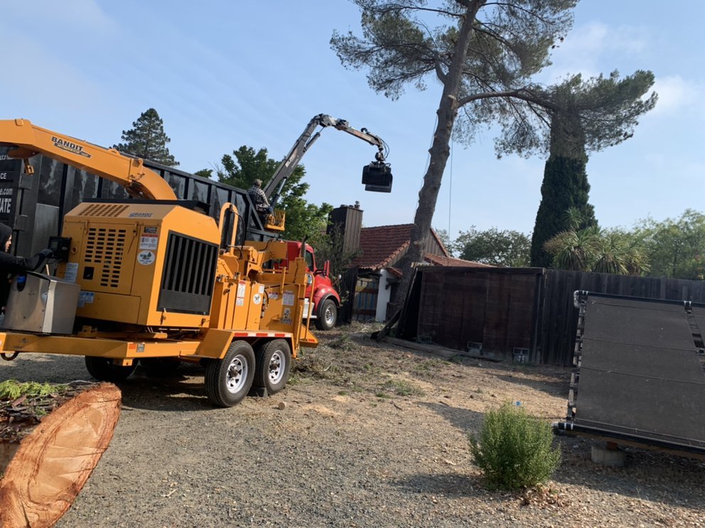 New Life Tree Service | Pittsburg, CA