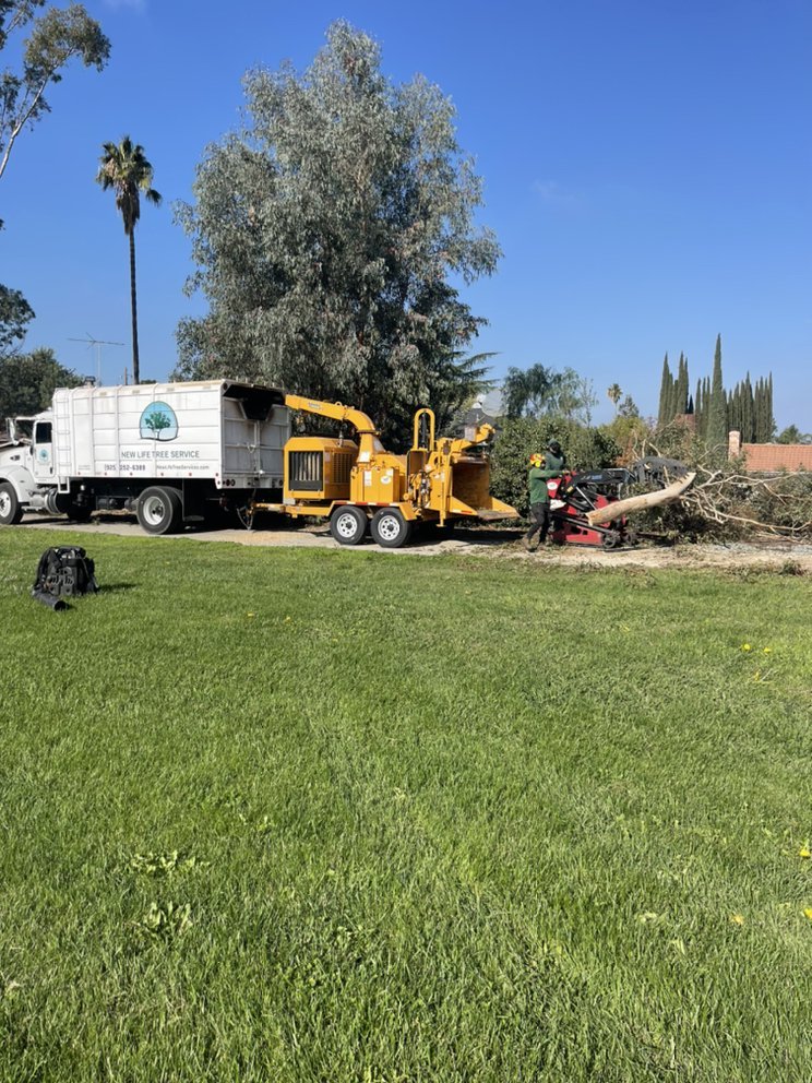 New Life Tree Service | Pittsburg, CA