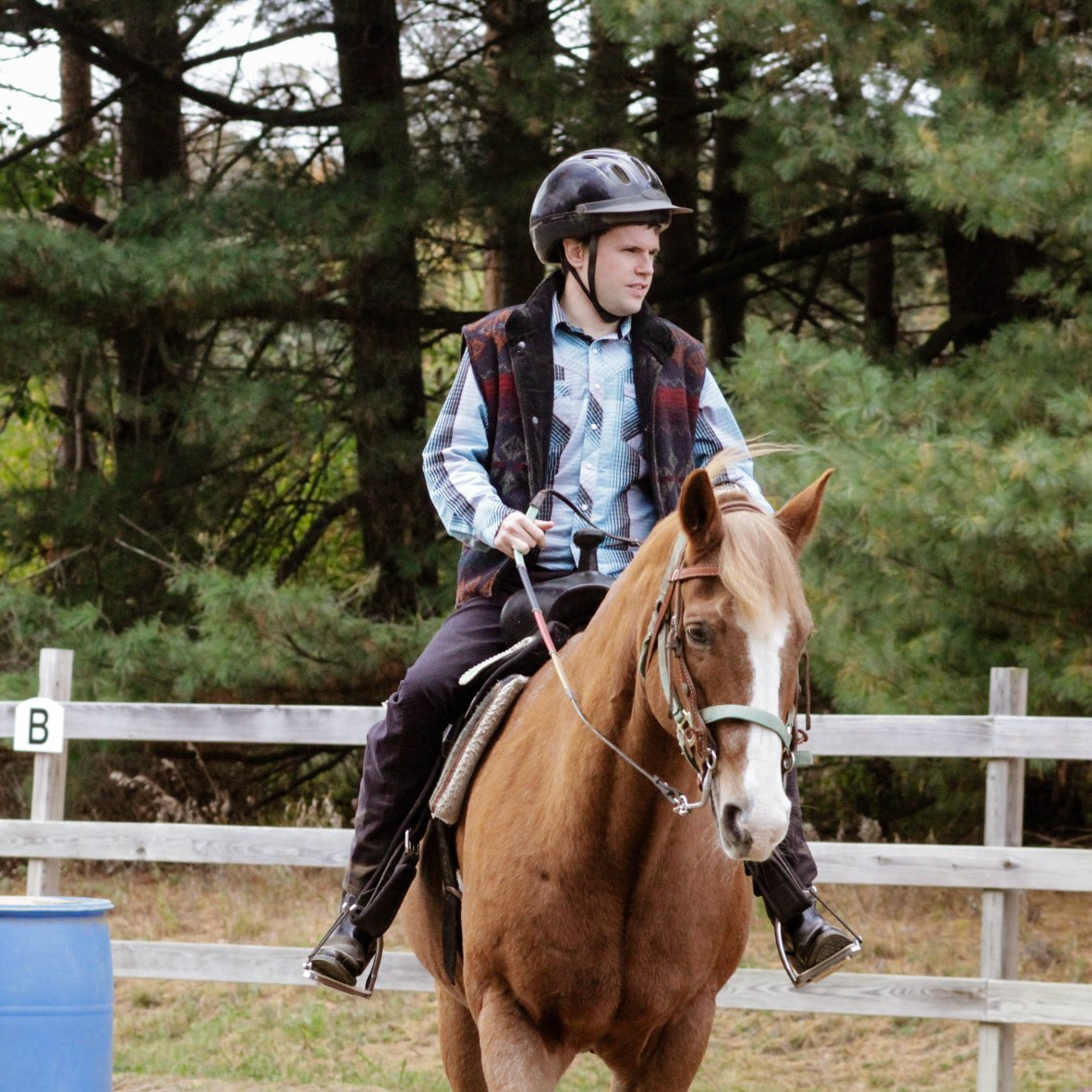Therapy Ranch | Medina, OH | Medina Creative Housing