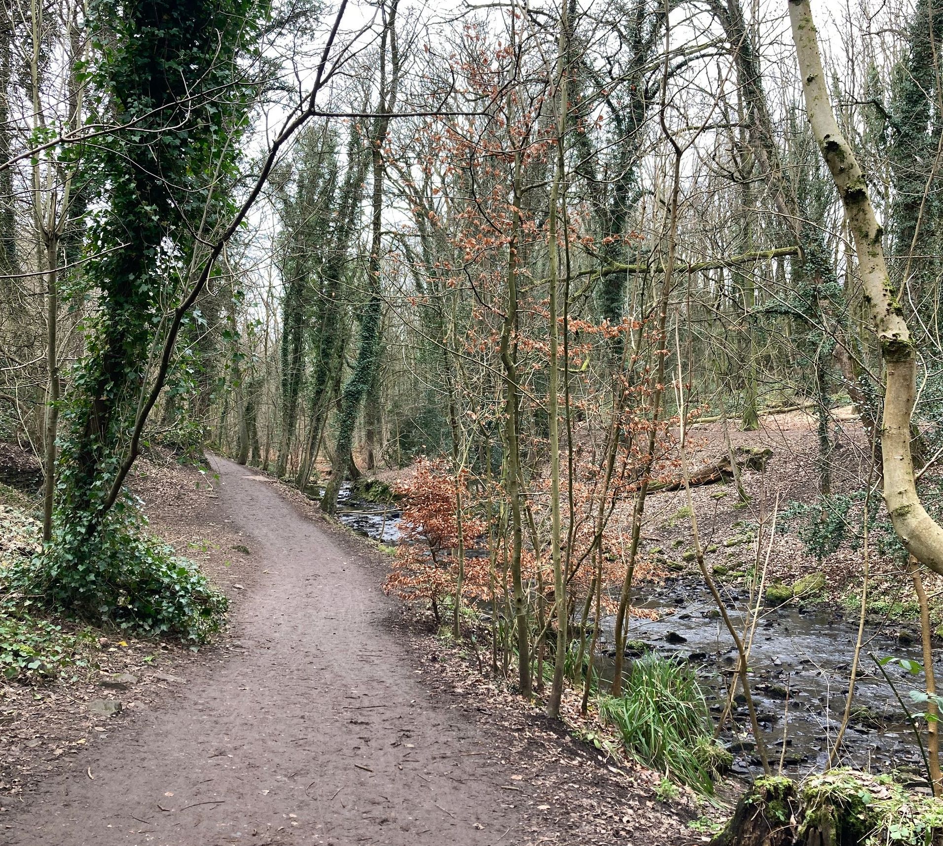 Pilgrimage Walk | Hallam