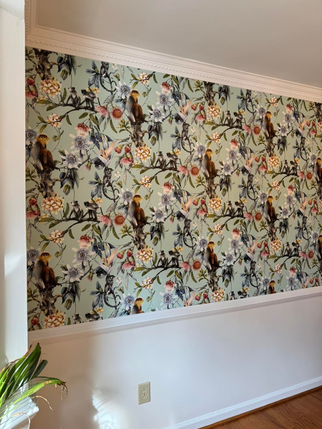 Allen Funk's Wallpapers – Home