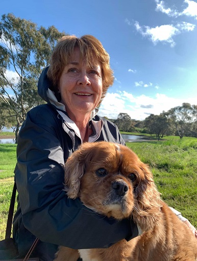 Geelong Central and Northern Dog Teams, Australia | Story Dogs
