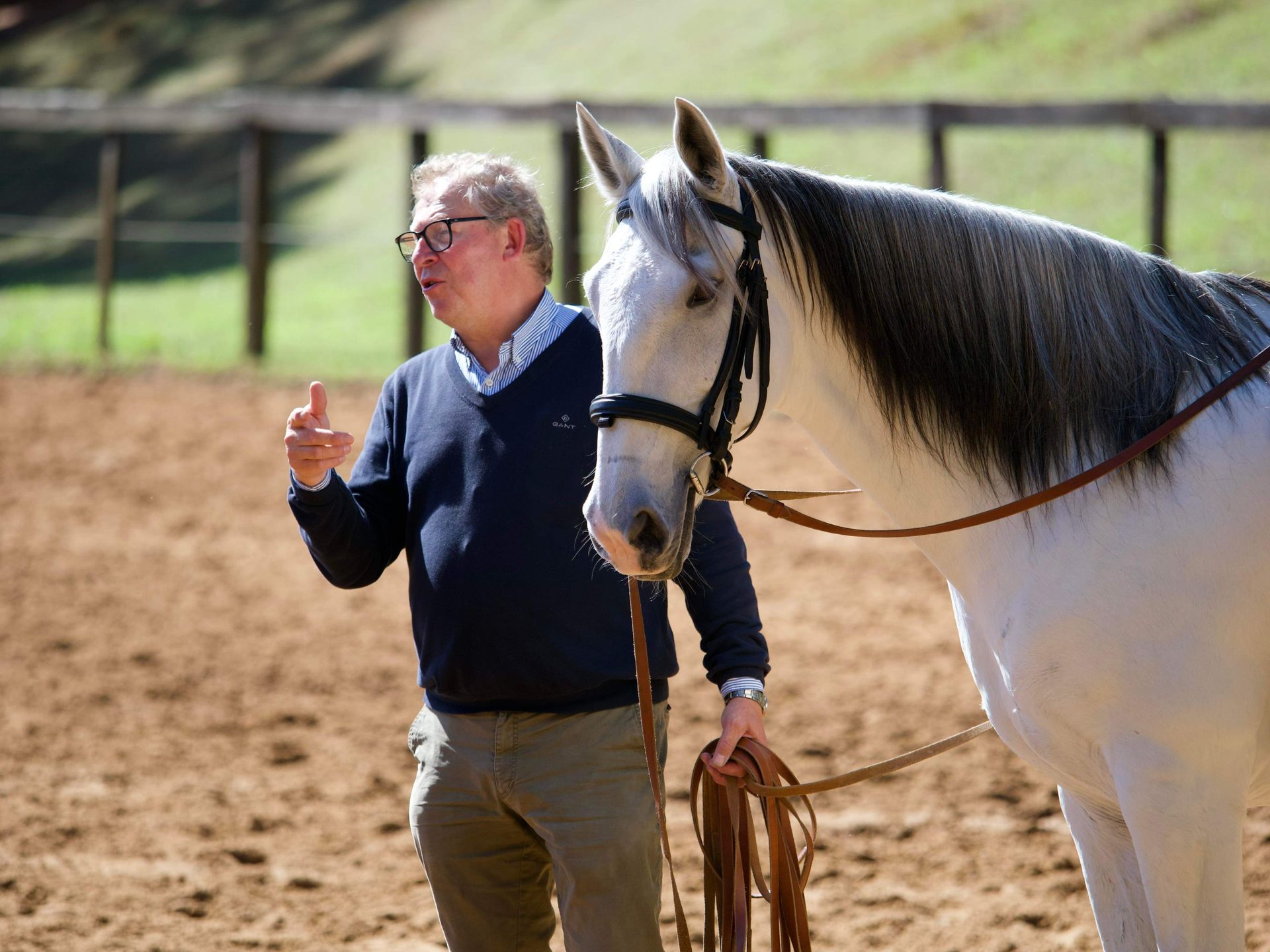 Anders Eriksson, tömkörning, arbete i töm, kurser och clinics