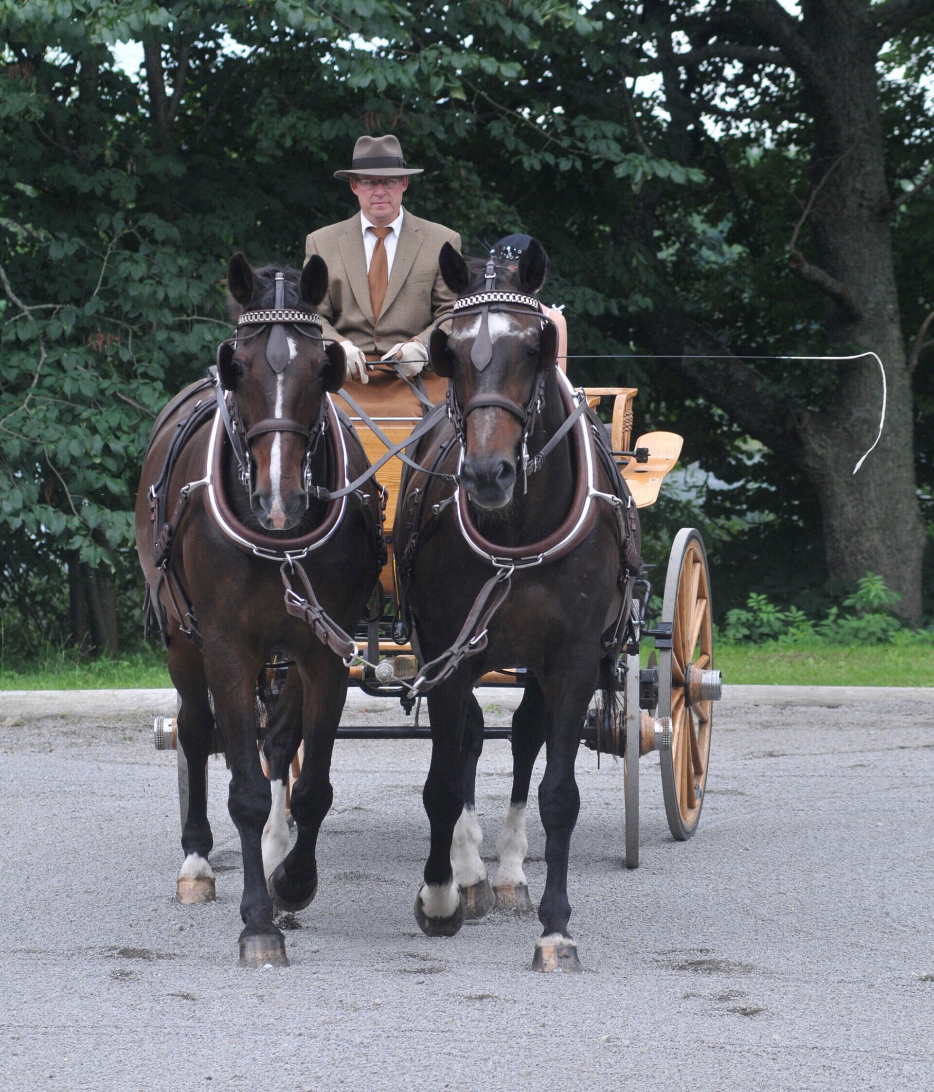 Historik - Anders Eriksson, tömkörning, hästutbildning