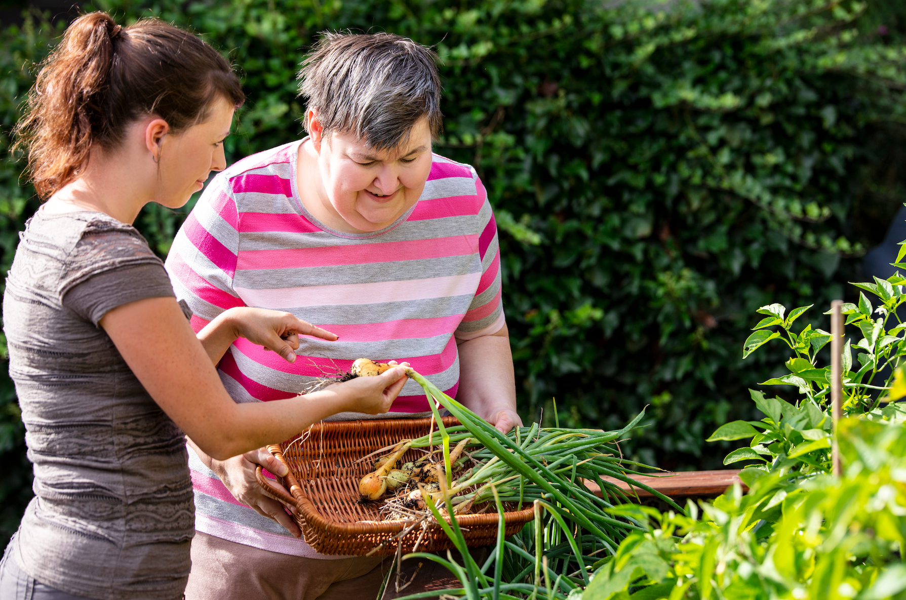 Disabilities Rehabilitation | PROGRESSIVE REHABILITATION