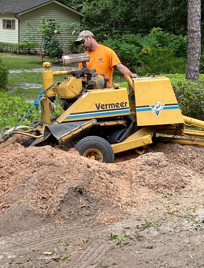 Brinson’s Tree and Stump Removal LLC| Tree Removal| Statesboro, GA