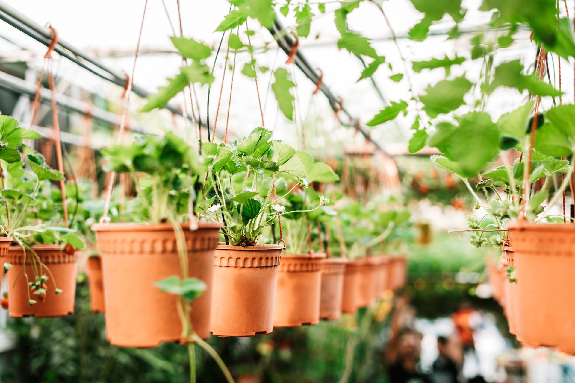 Quality Hardware Solutions | Seattle, WA | Stoneway Hardware