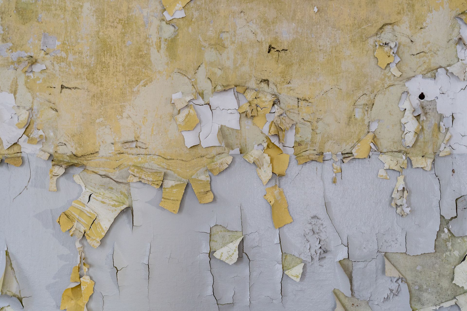 Premium Paint Selection | Seattle, WA | Stoneway Hardware