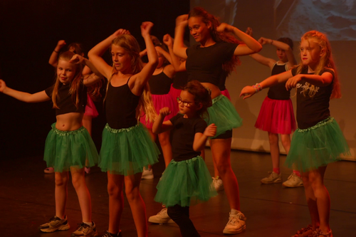 Lesaanbod Dans Kids | Dance Sing & Perform