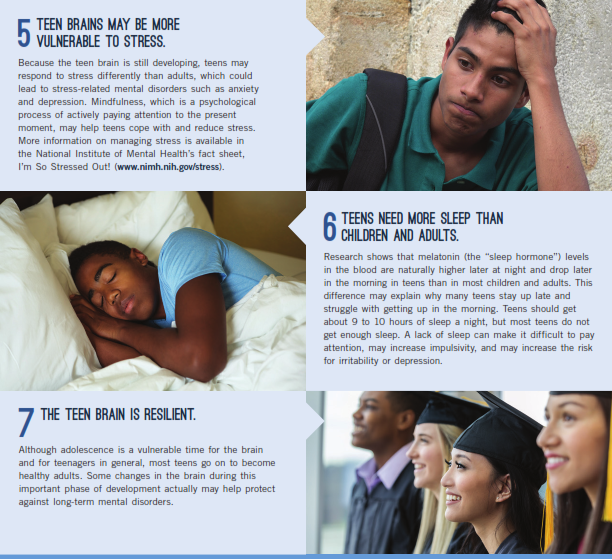 The Teen Brain: 7 Things to Know