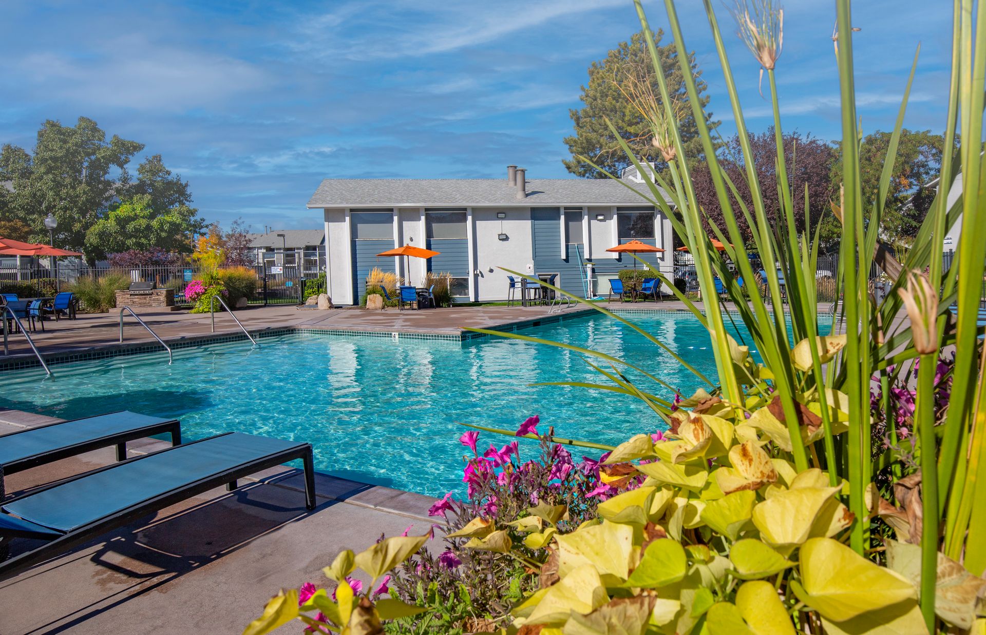 Amenities | Brighton Place Apartments