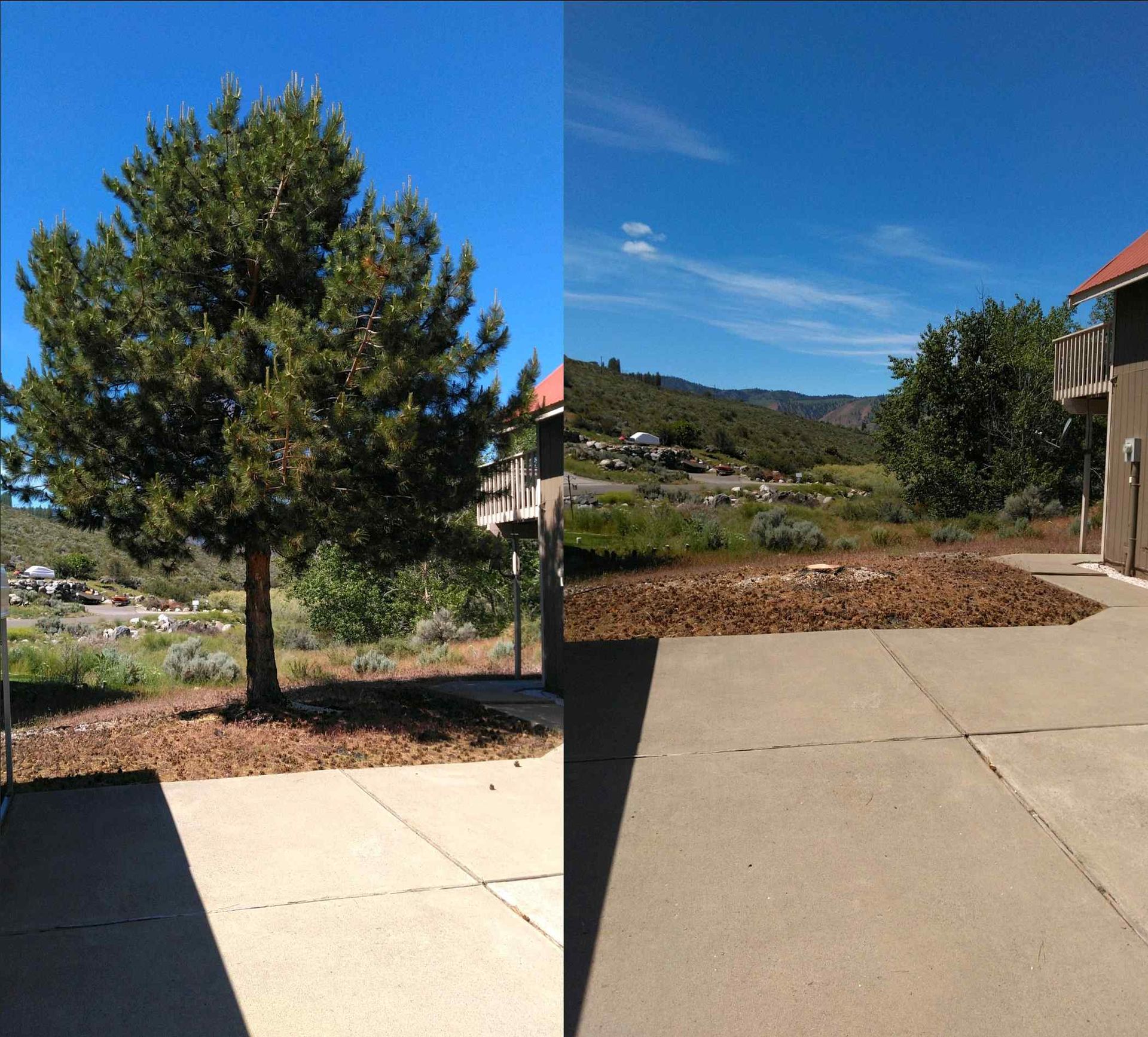 BCD Contracting & Tree Service | Project Gallery