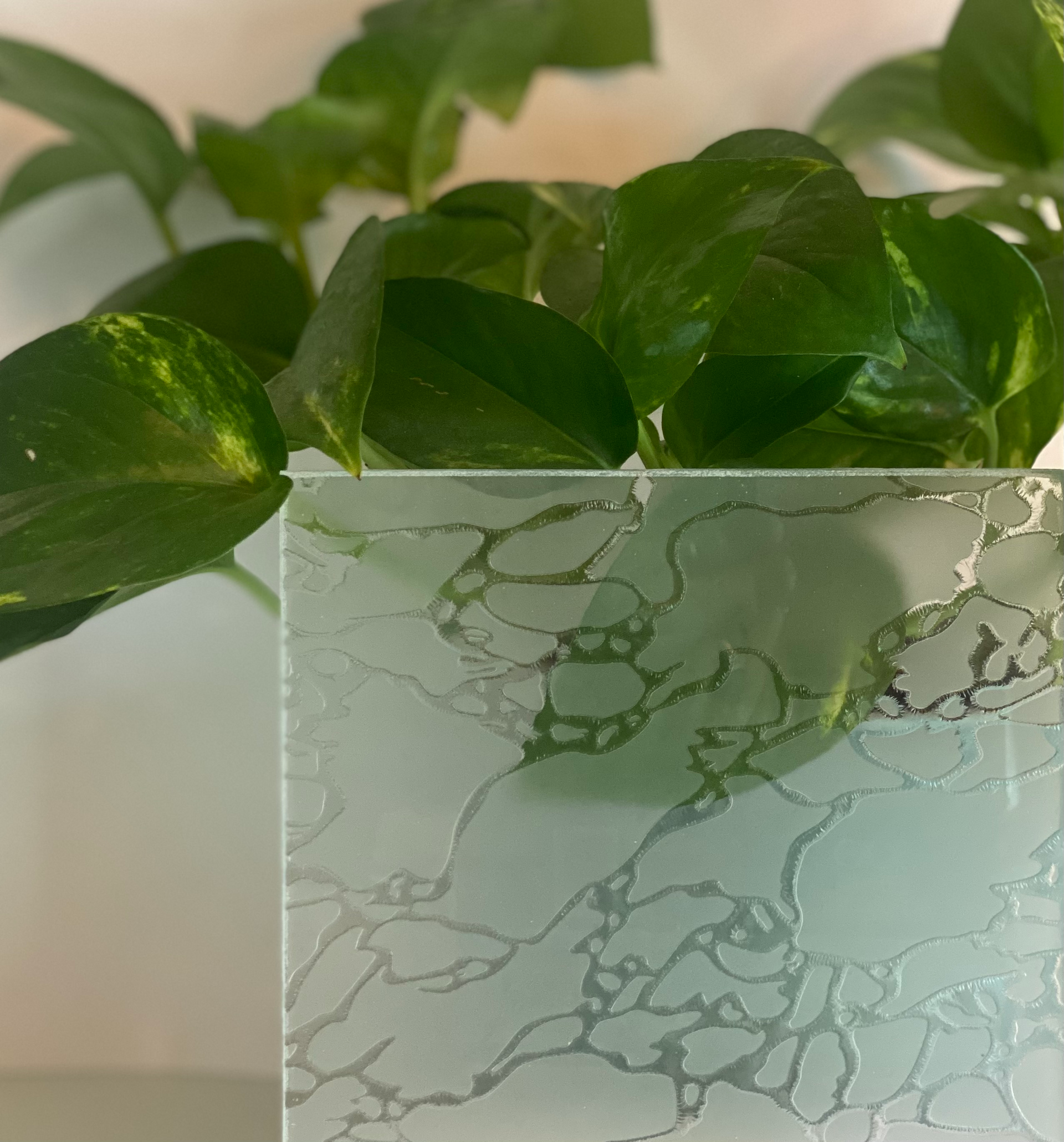 Glass Types | Parker Henry Glass & Storefront