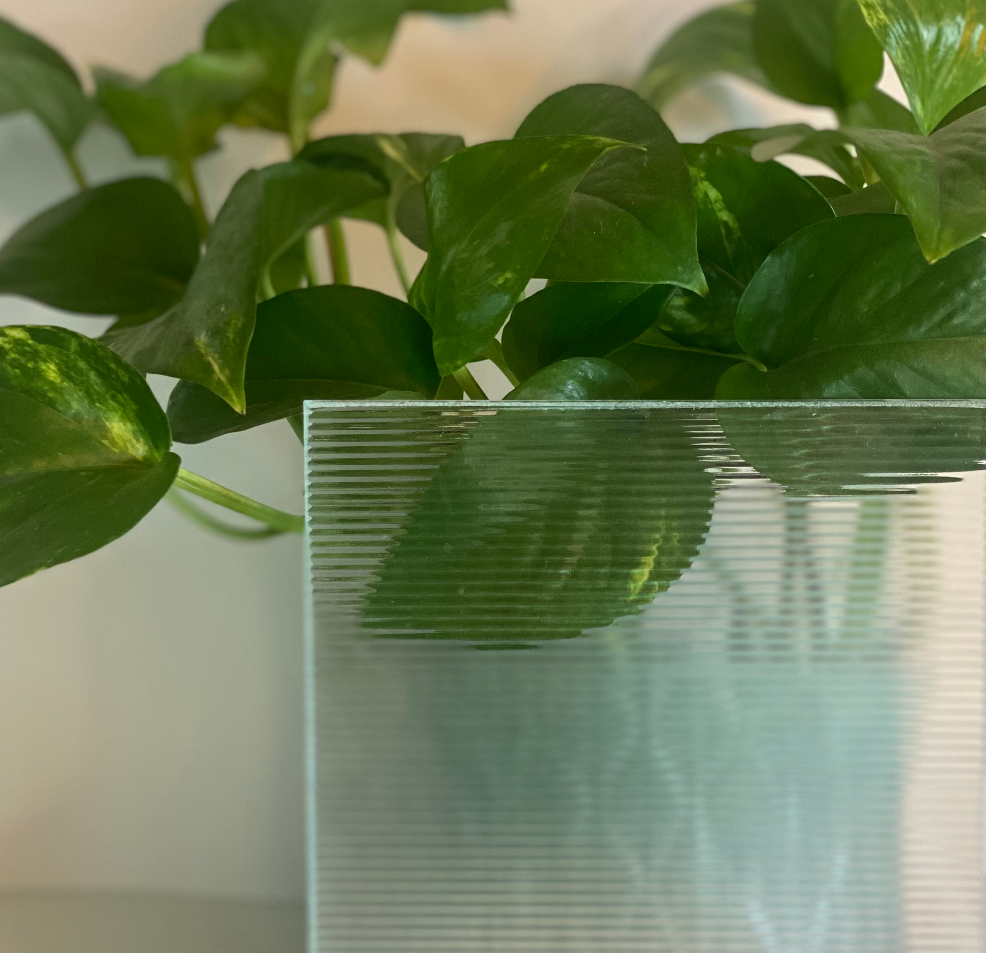 Glass Types | Parker Henry Glass & Storefront