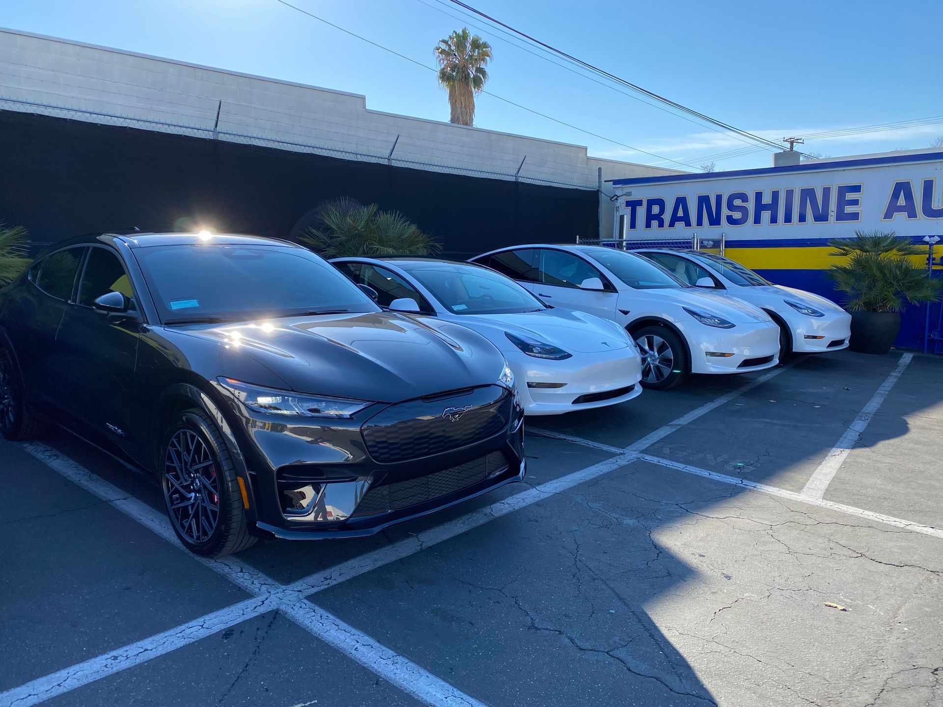 Professional Full Vehicle Detailing Whittier, CA | Transhine