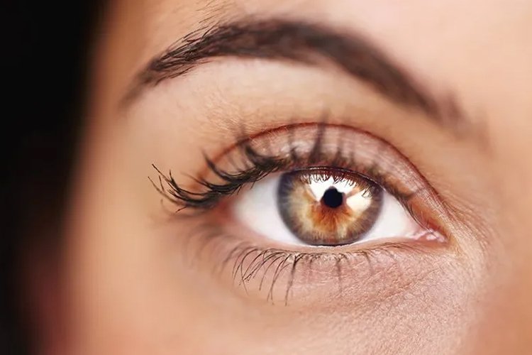 Eye Care | Sewickley, PA | Ophthalmology Associates of Osborne