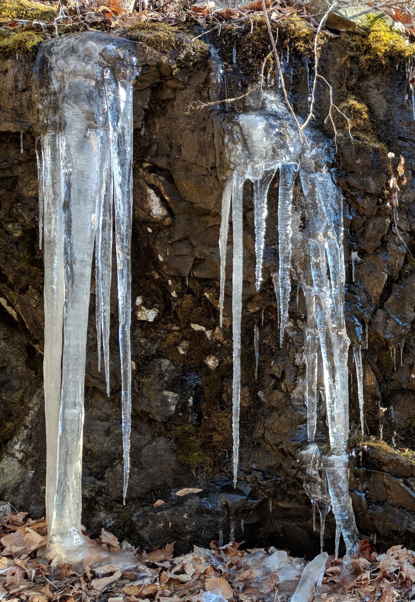 What's that Ice?