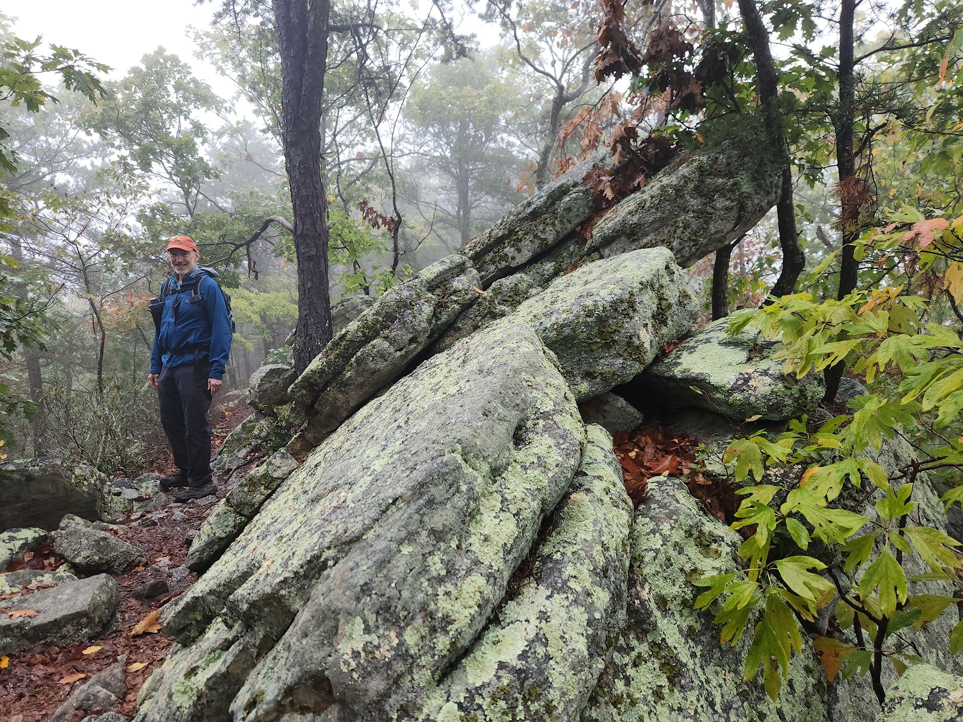 Buzzard Rock to Veach Gap Trail