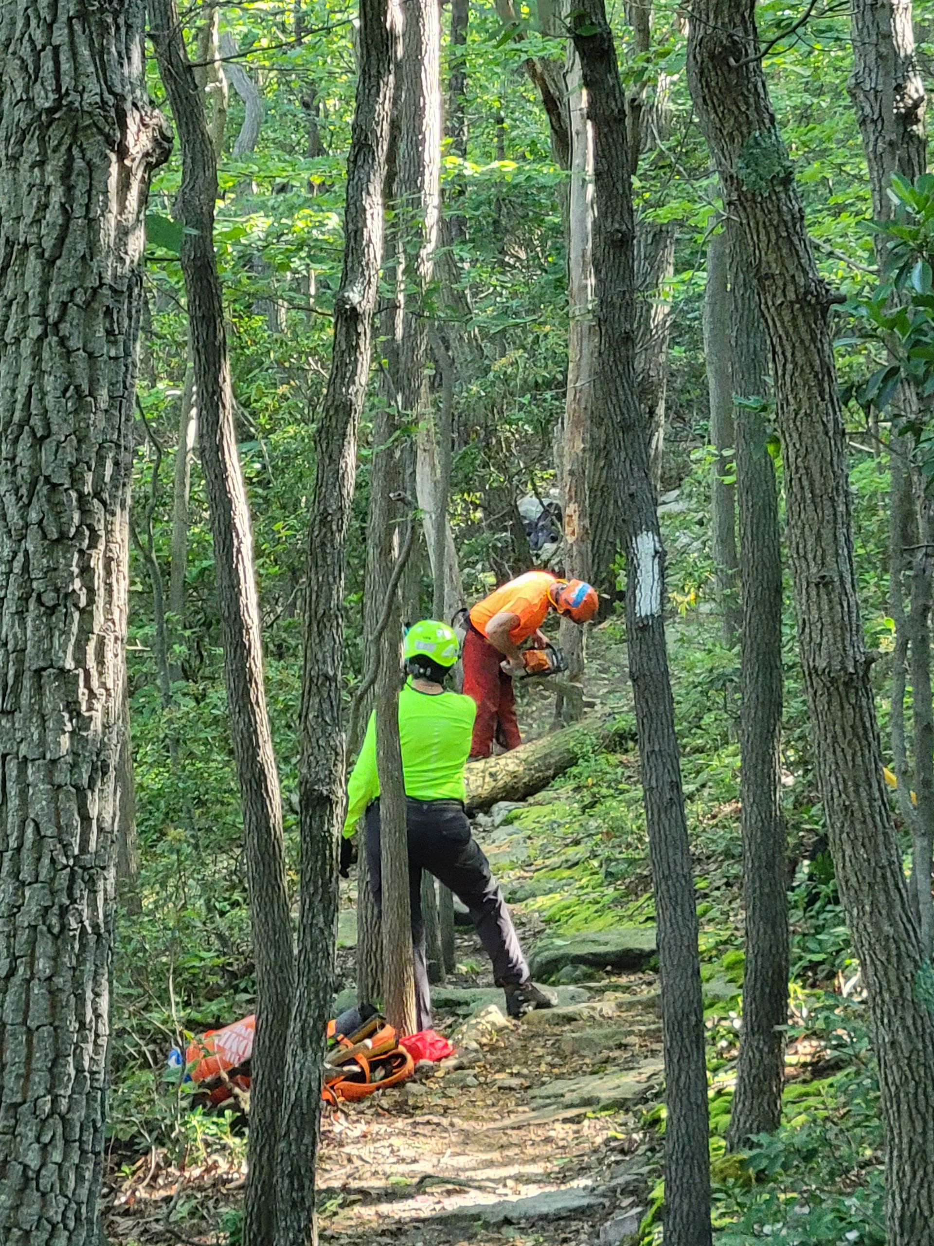 Biby Trail - Path to the Tuscarora